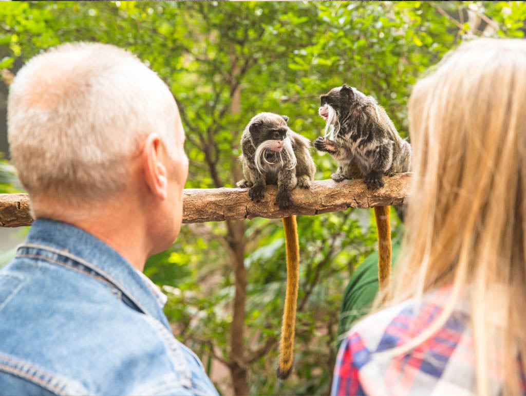 Animal gift experiences | ZSL Shop