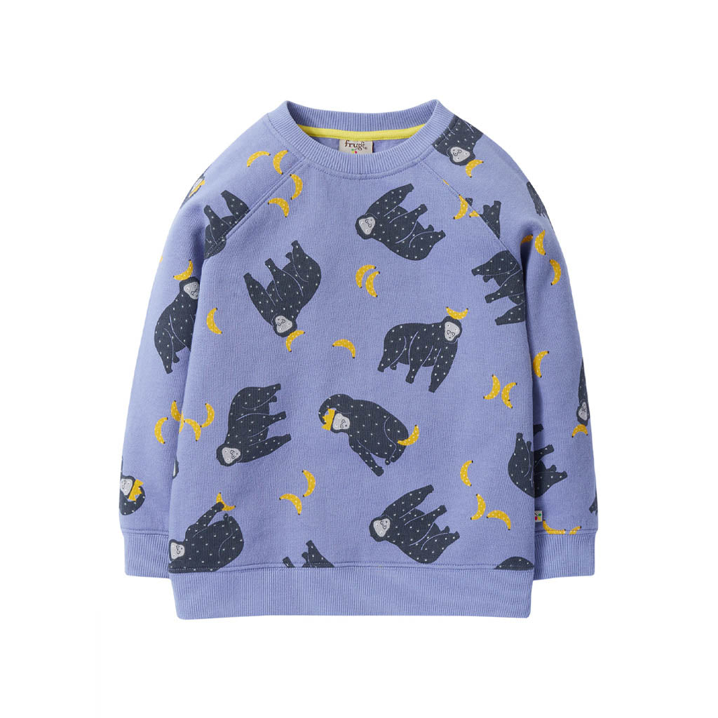 Animal Clothing & Accessories | ZSL Shop