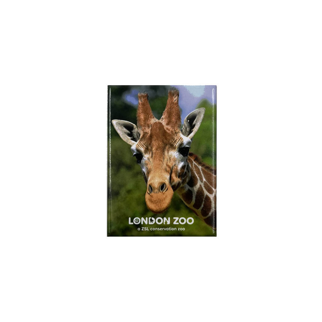 London Zoo Gifts | ZSL Shop