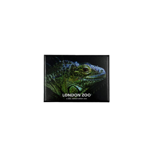 London Zoo Gifts | ZSL Shop