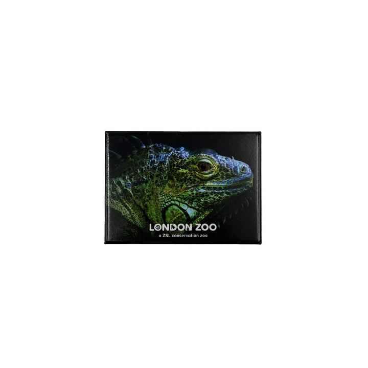 London Zoo Gifts | ZSL Shop