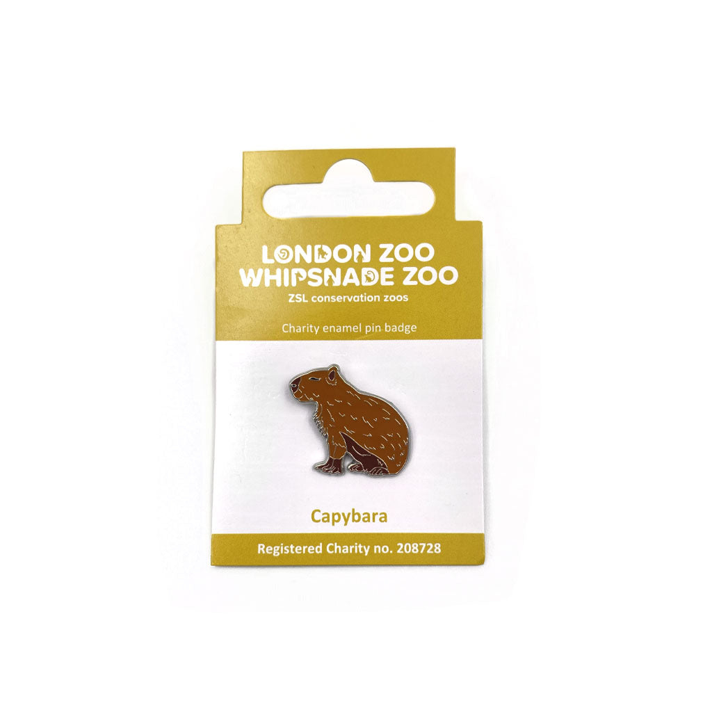 Capybara Pin Badge | ZSL Shop