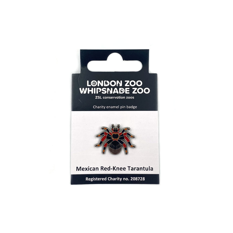 Tarantula Pin Badge | ZSL Shop