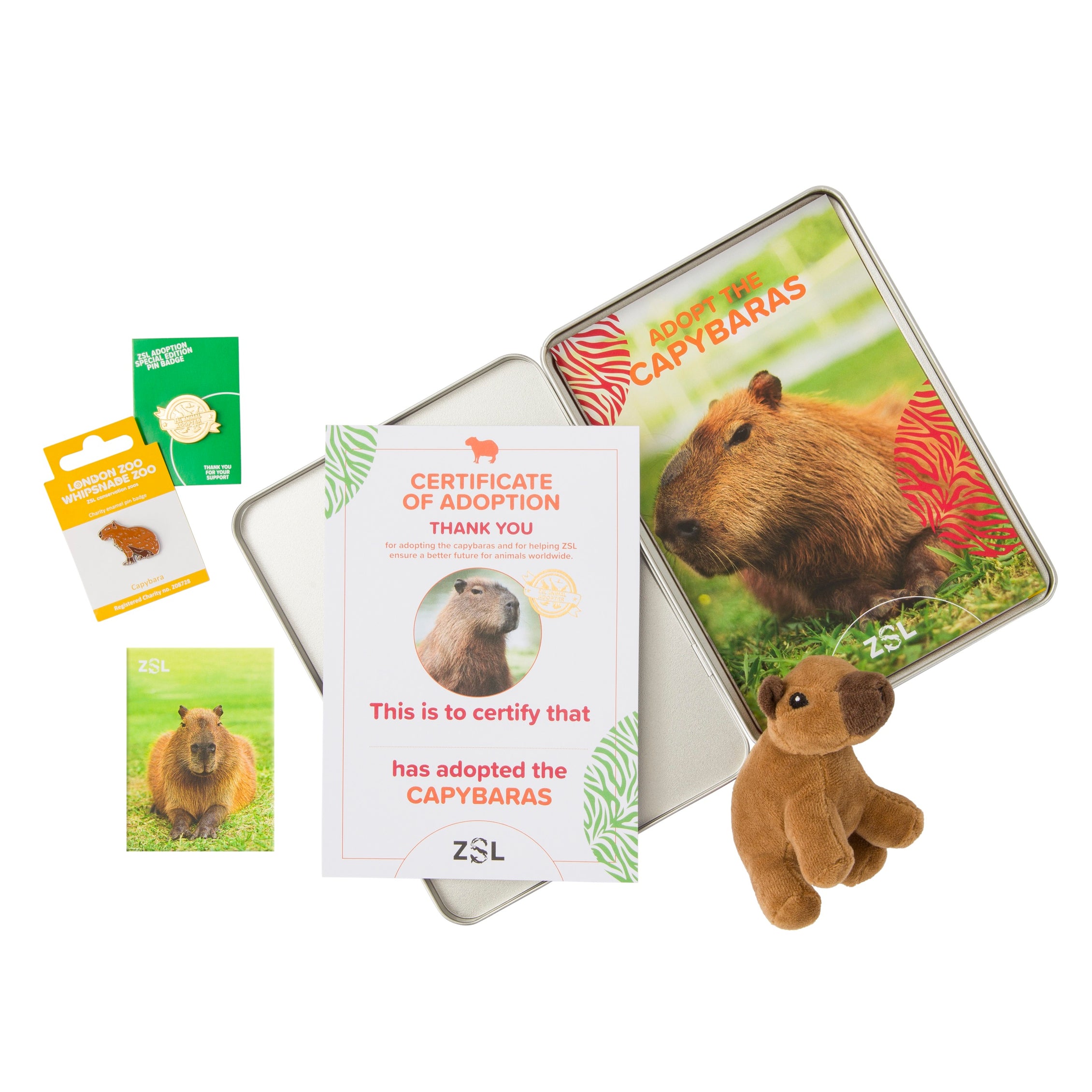 Adopt a Capybara | Adoption Packs | ZSL Shop