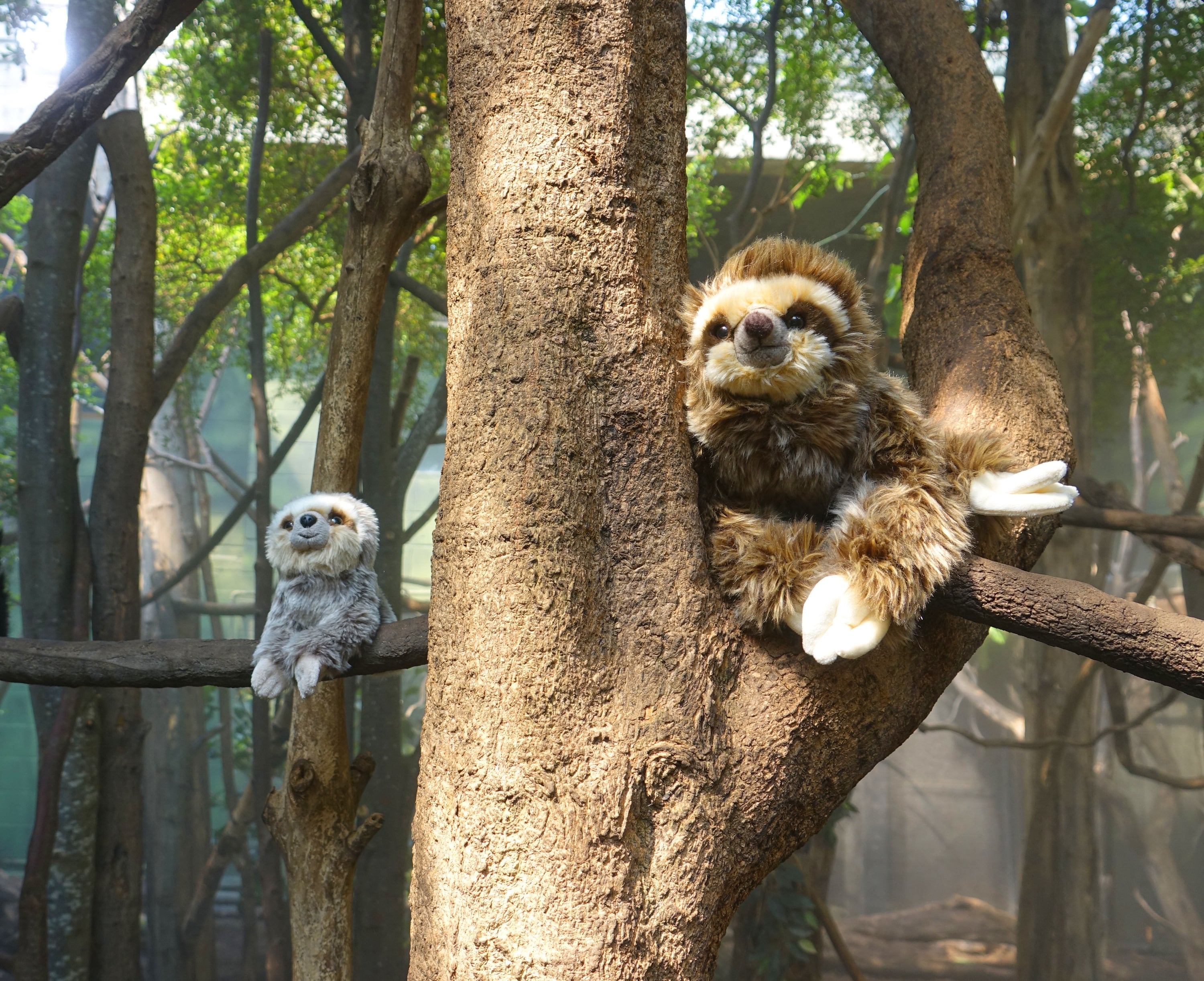 Gifts for Animal Lovers | ZSL Shop