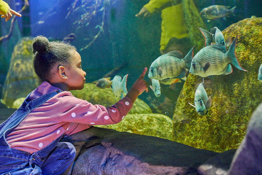 Zoo Gift Tickets – ZSL Shop