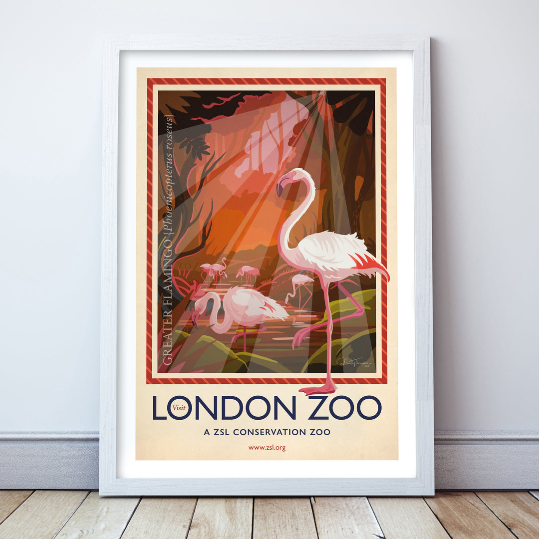 Prints and Wall Art | ZSL Shop