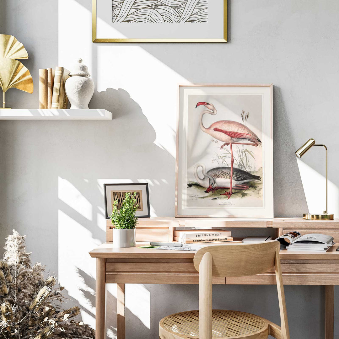 Discover ZSL Heritage Prints | ZSL Shop