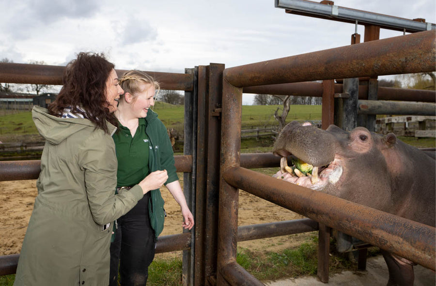 Zoo Animal Experiences – ZSL Shop