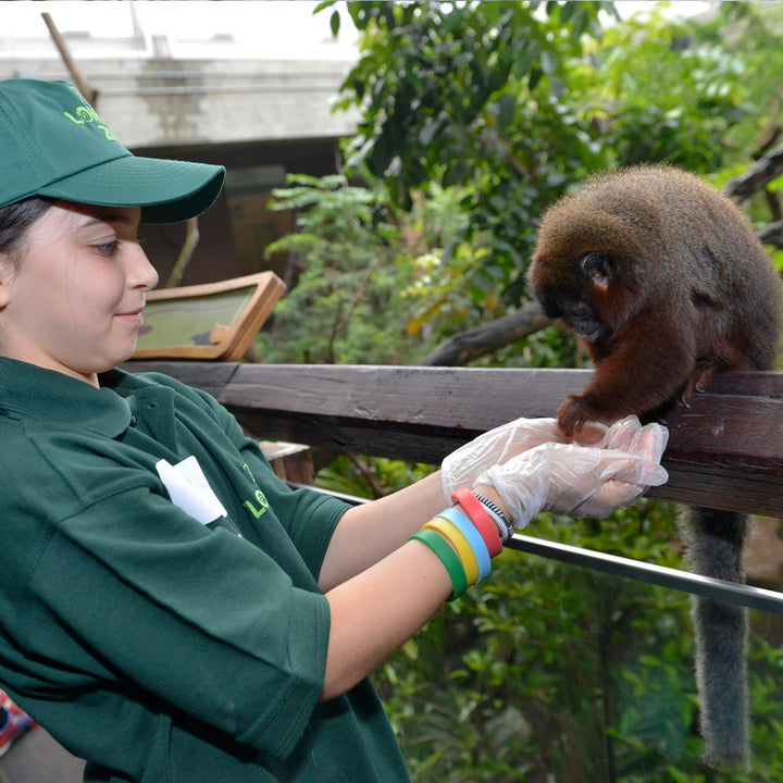 Zoo Animal Experiences – ZSL Shop