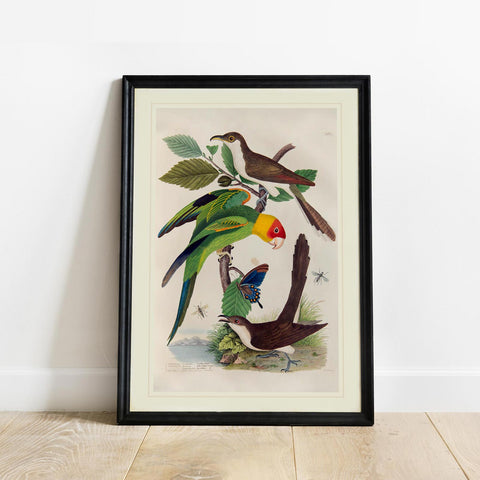 Gifts for Animal Lovers | ZSL Shop