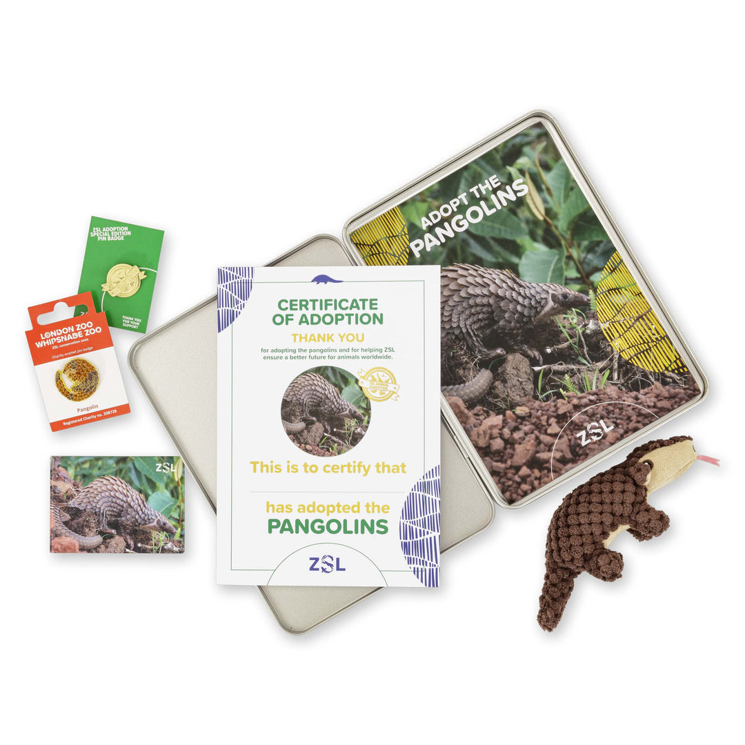 Adopt a Pangolin | Adoption Packs | ZSL Shop