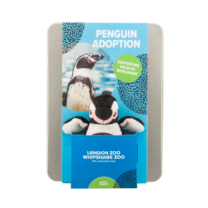 Adopt a Penguin | Adoption Packs | ZSL Shop