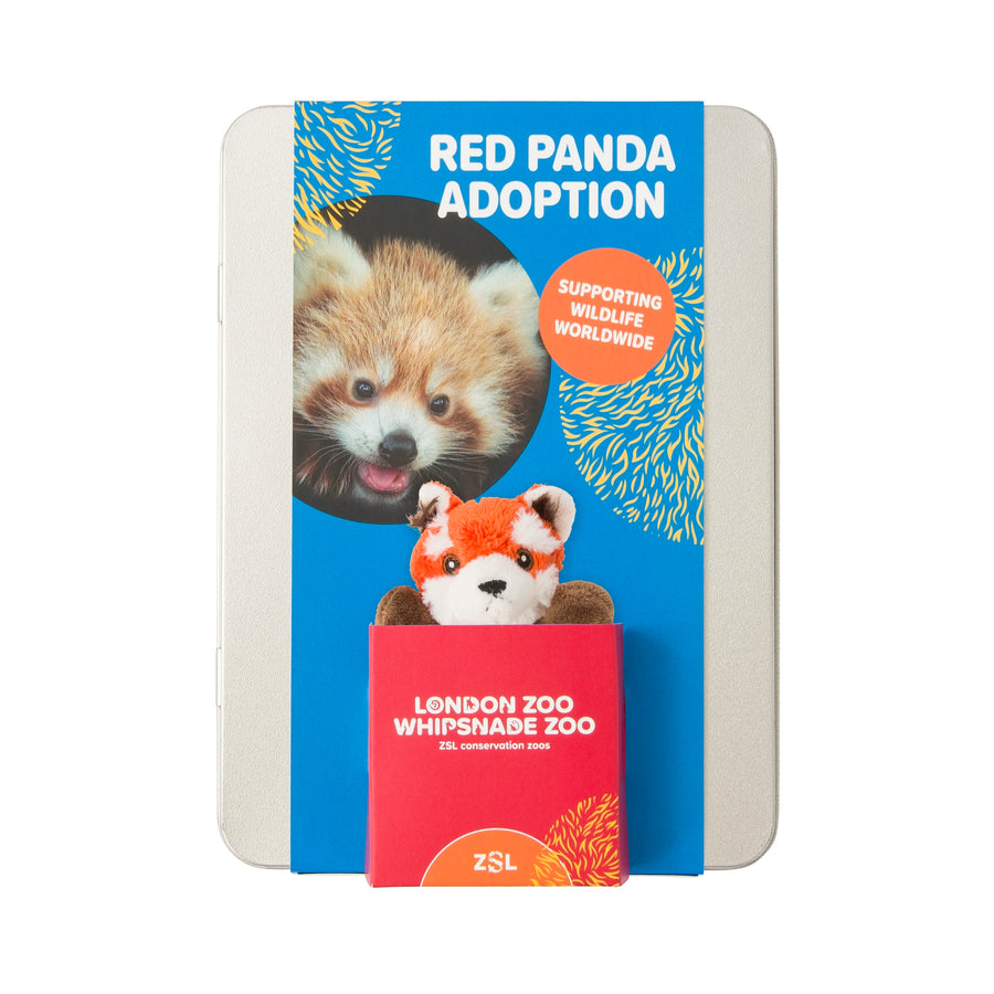 Adopt a Red Panda | Adoption Packs | ZSL Shop