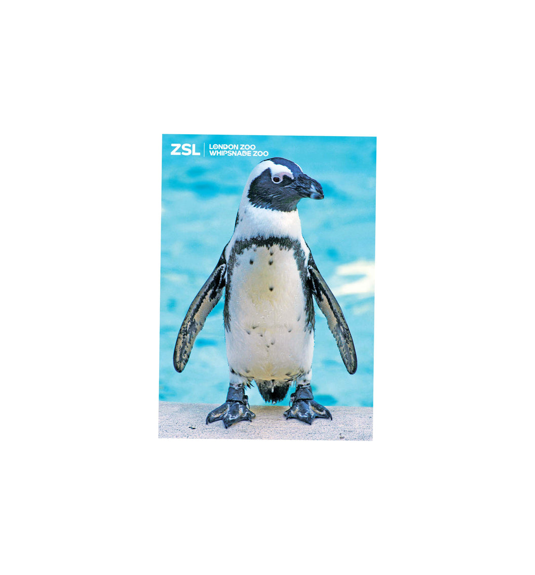 Whipsnade Zoo Gifts | ZSL Shop