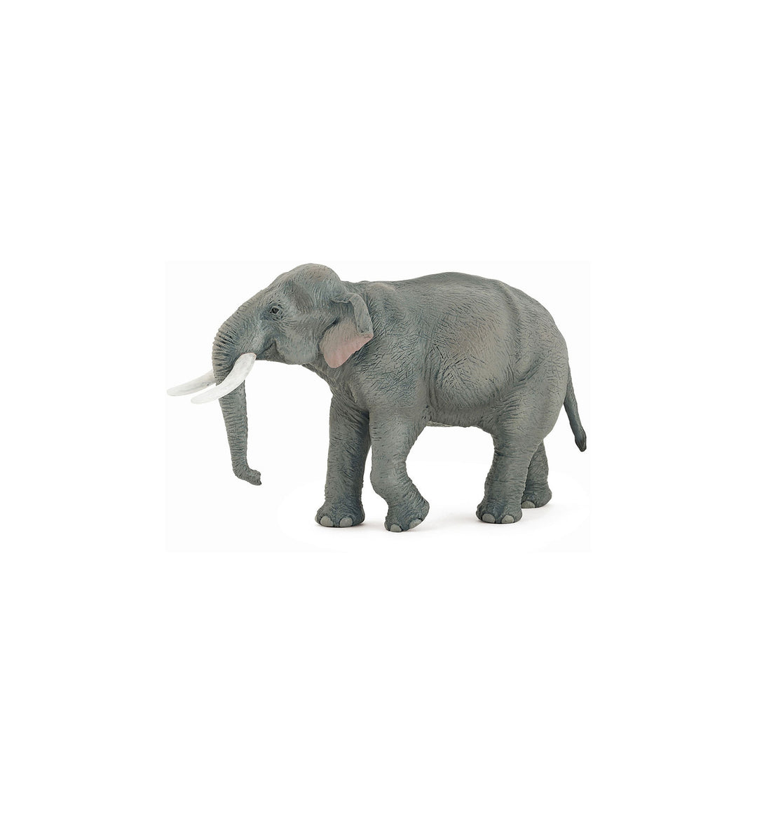 Papo Asian Elephant Figure – ZSL Shop