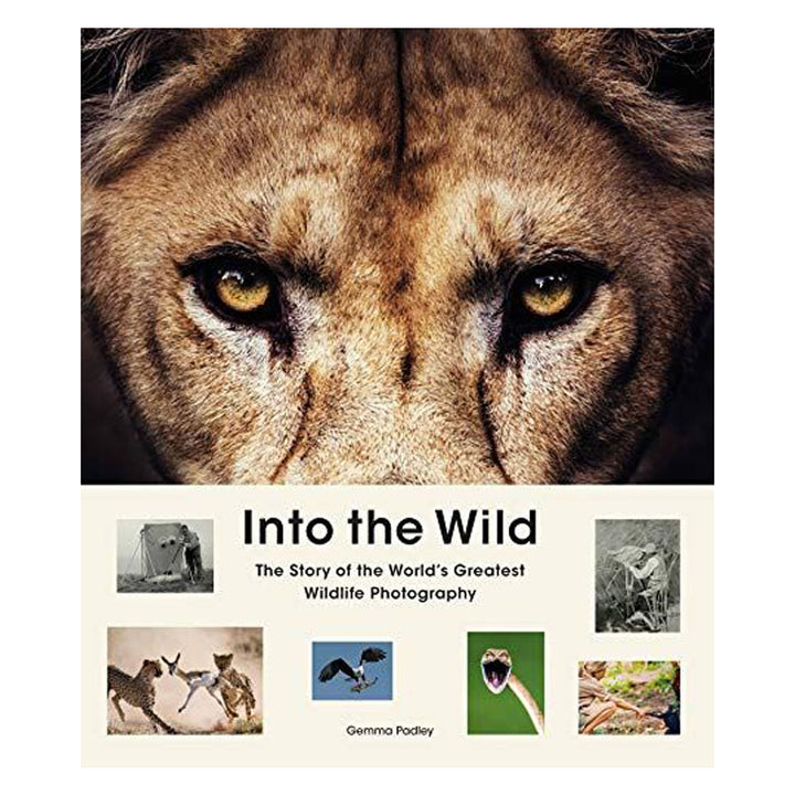 Into The Wild: Wildlife Photography Book – ZSL Shop
