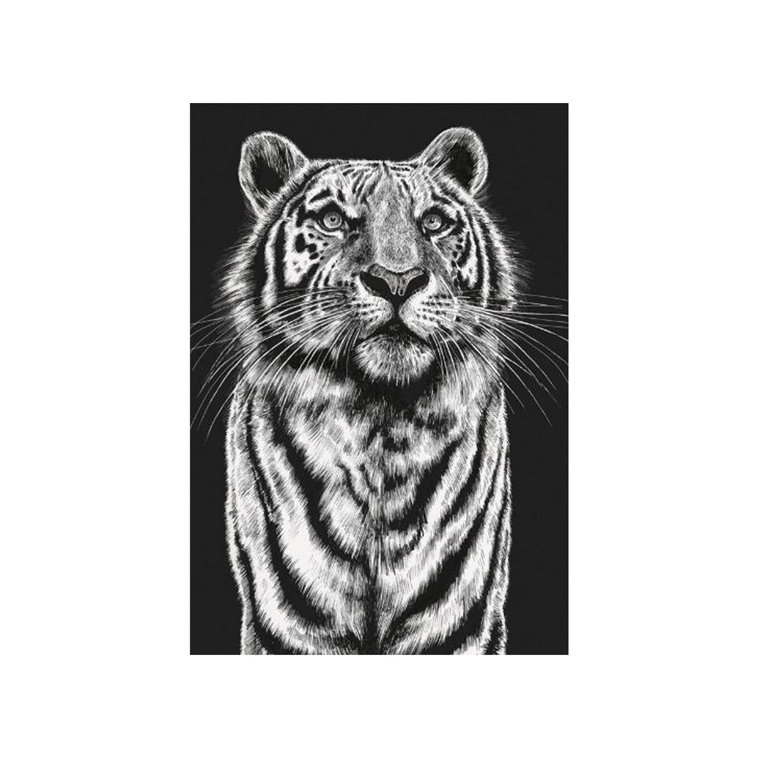 Tiger Monochrome Drawing Greetings Card | ZSL Shop