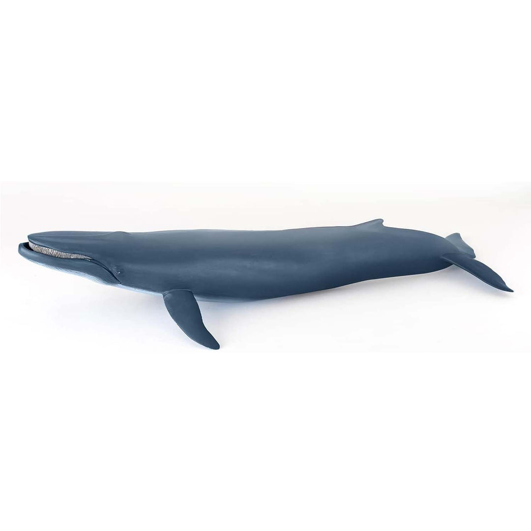 Papo Blue Whale Figure | ZSL Shop