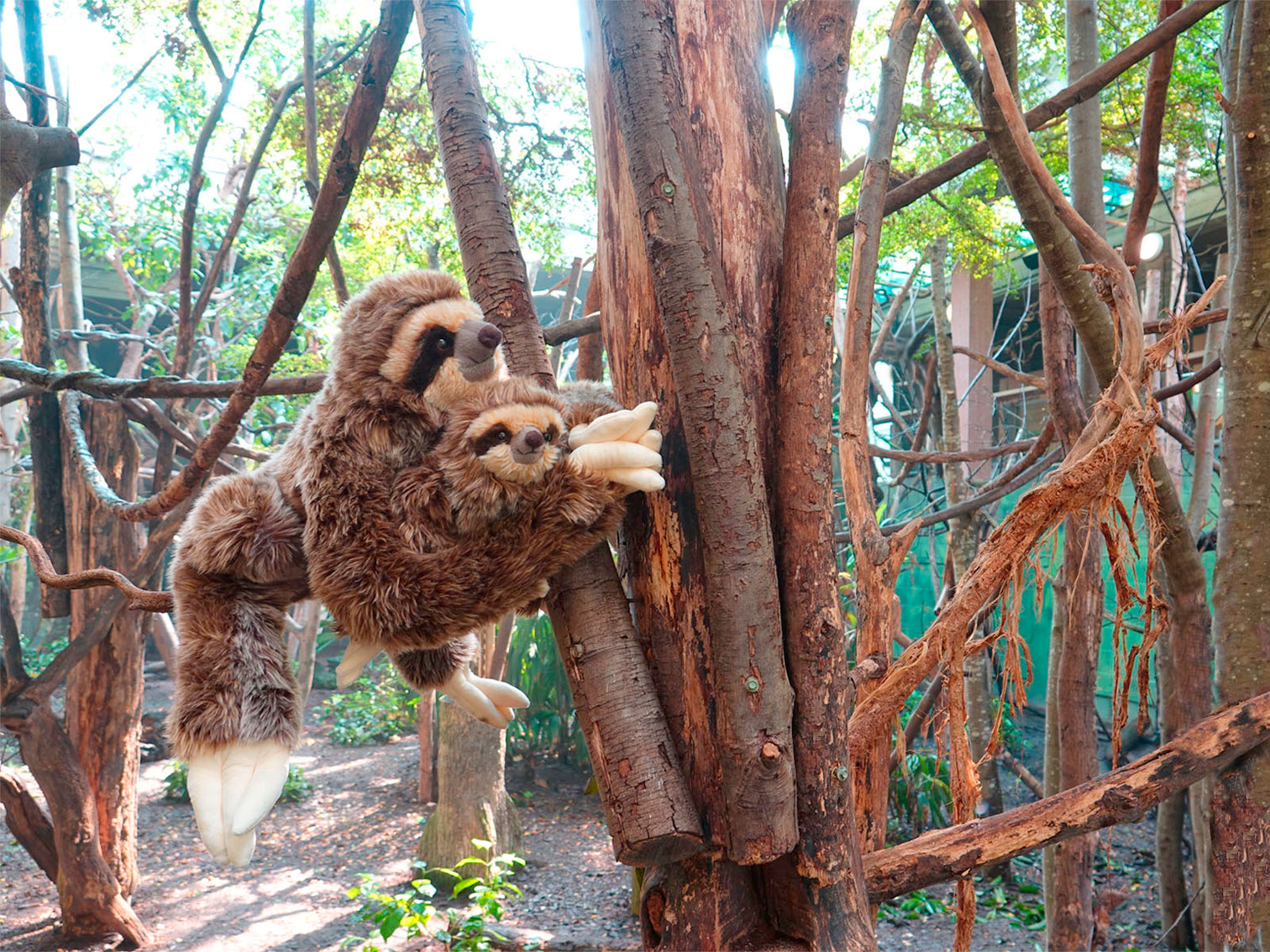 Gifts for Animal Lovers | ZSL Shop