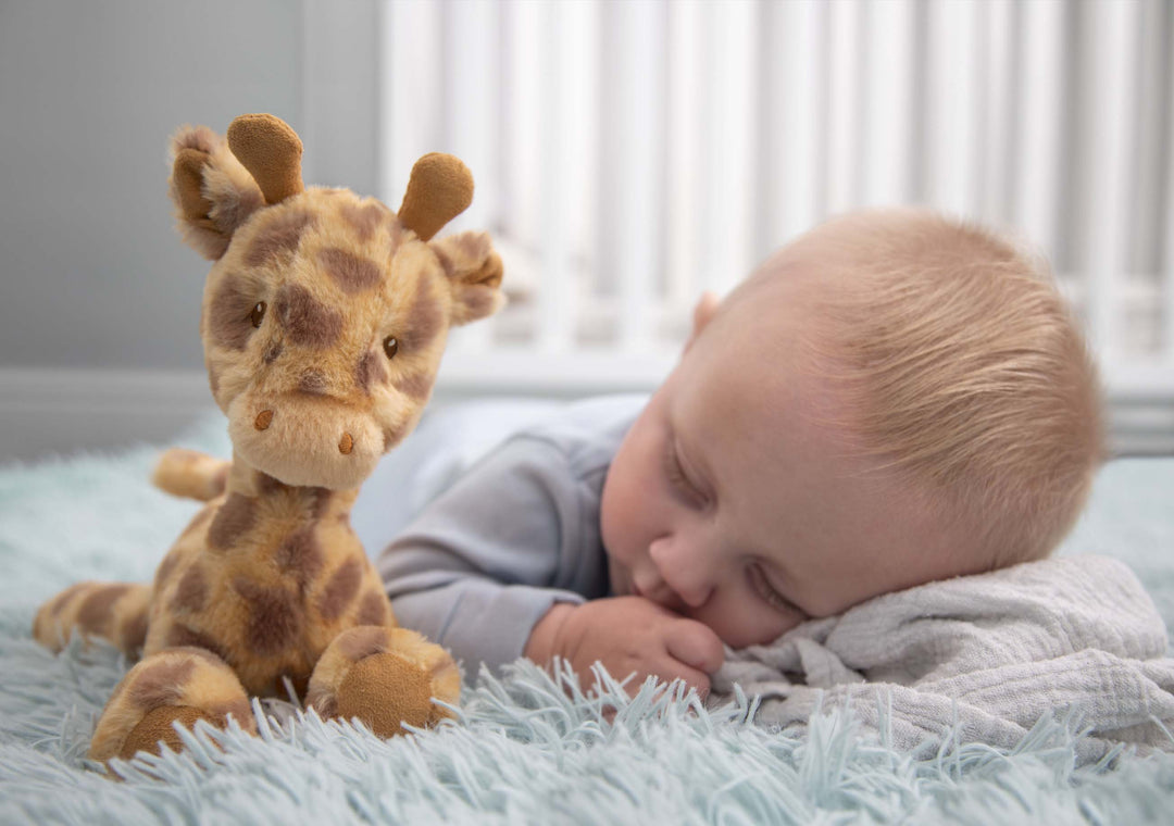 Gifts for Animal Lovers | ZSL Shop