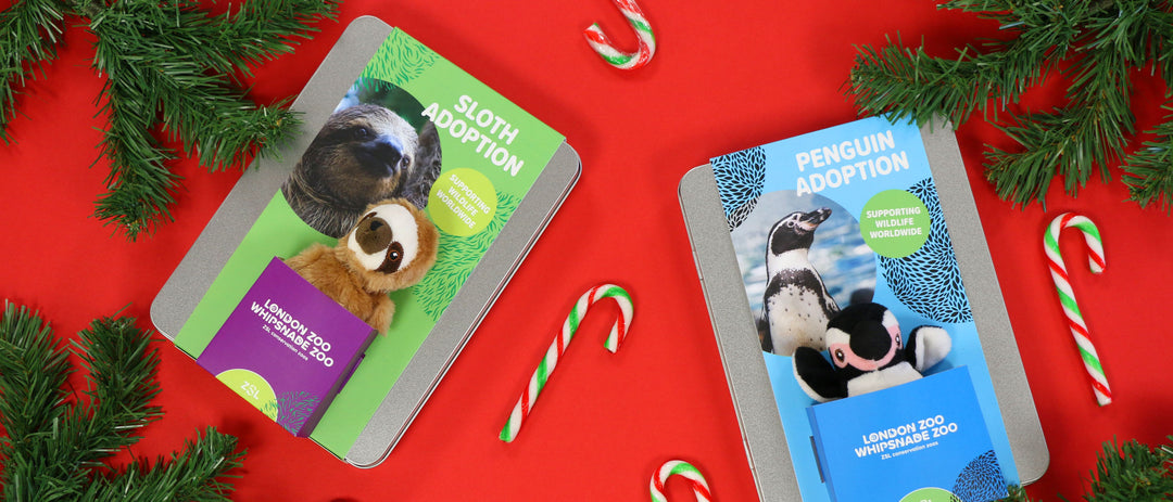 Gifts for Animal Lovers | ZSL Shop