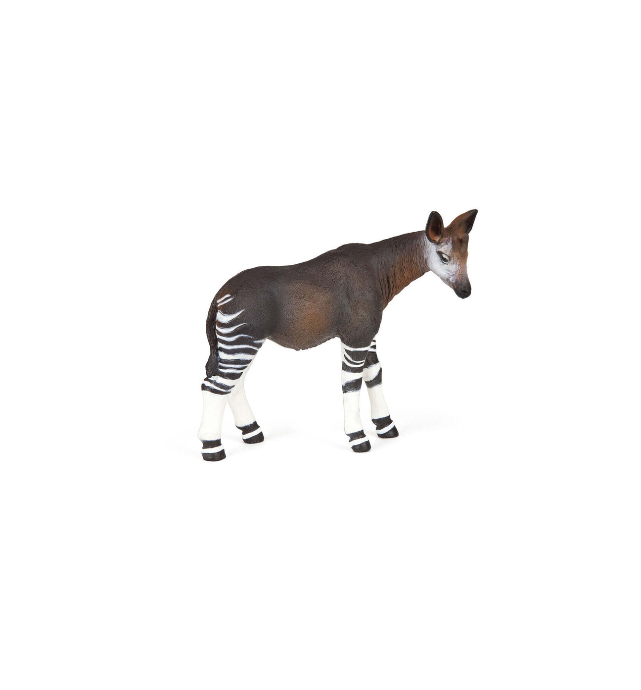 Papo Okapi Figure – ZSL Shop