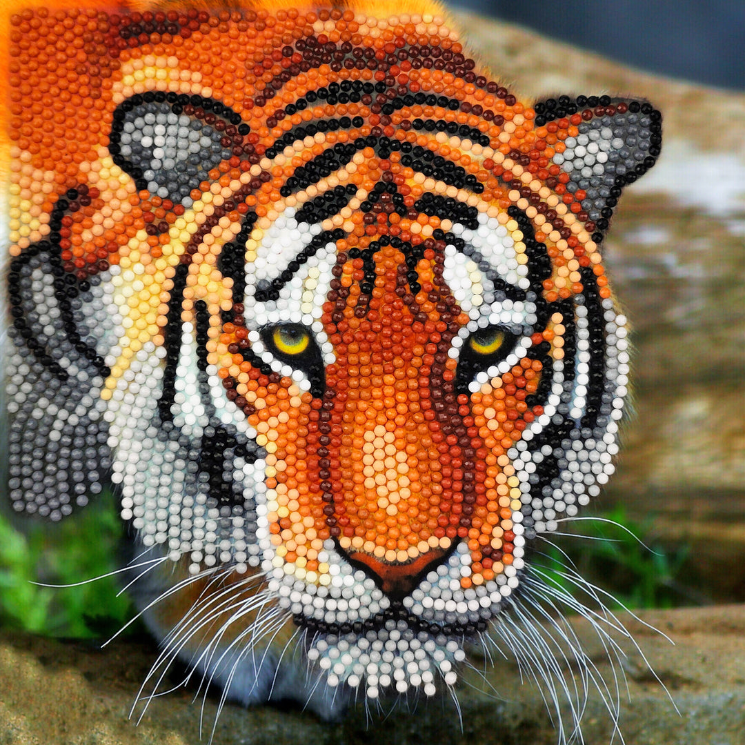 Tiger crystal card kit | ZSL Shop