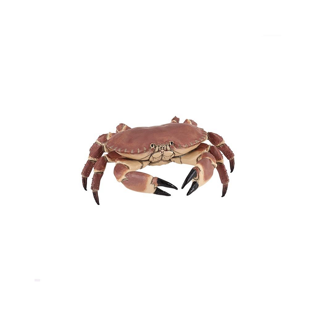 Papo Crab Figure | ZSL Shop