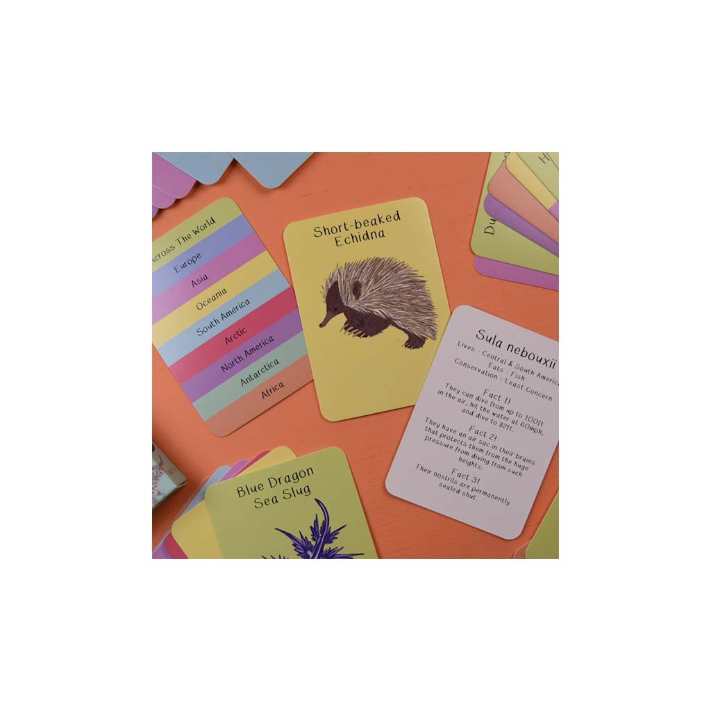 Amazing Animals Fact Cards | ZSL Shop