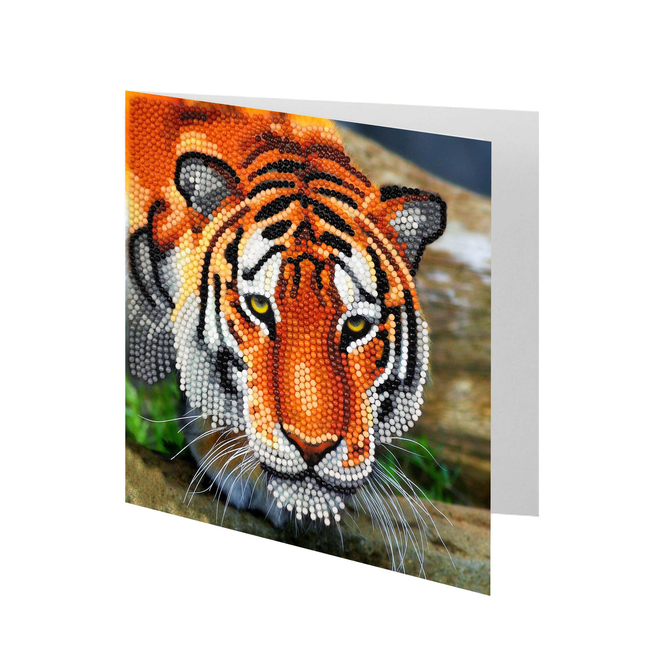 Tiger crystal card kit | ZSL Shop